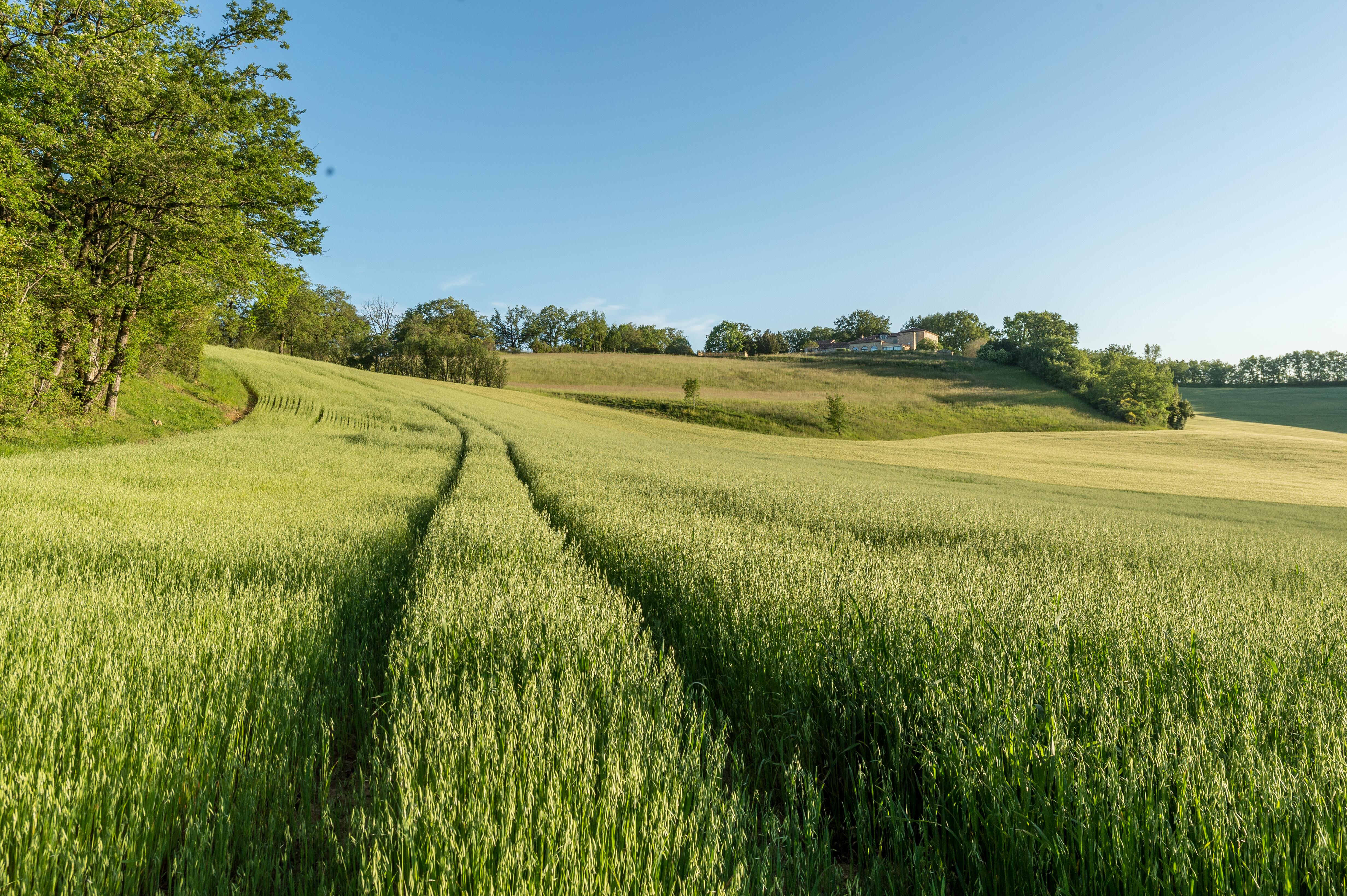 Perioral dermatitt: Årsaker, symptomer og behandling