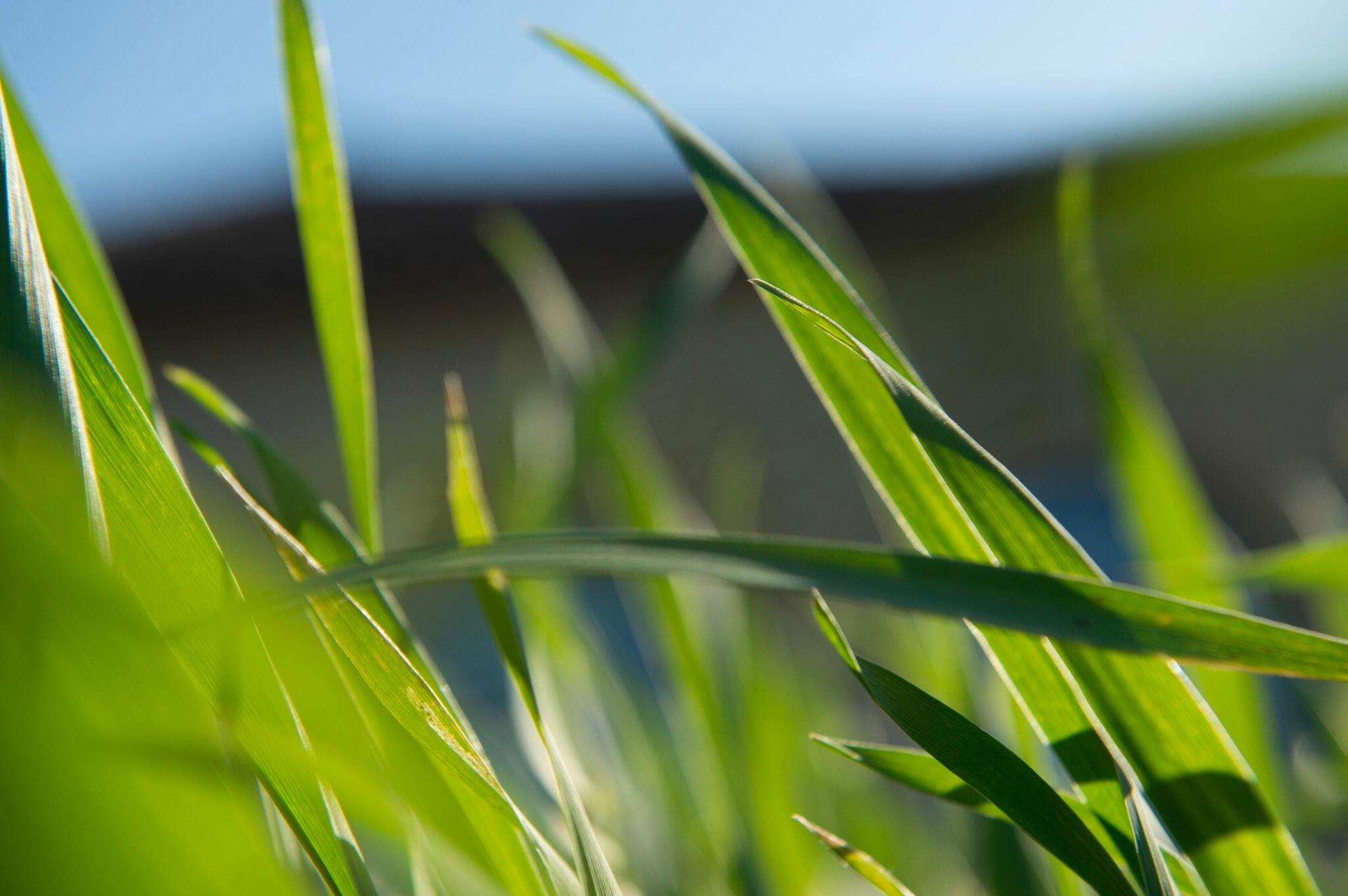 Eczeem op de handen: Oorzaken, symptomen en behandeling | A-DERMA