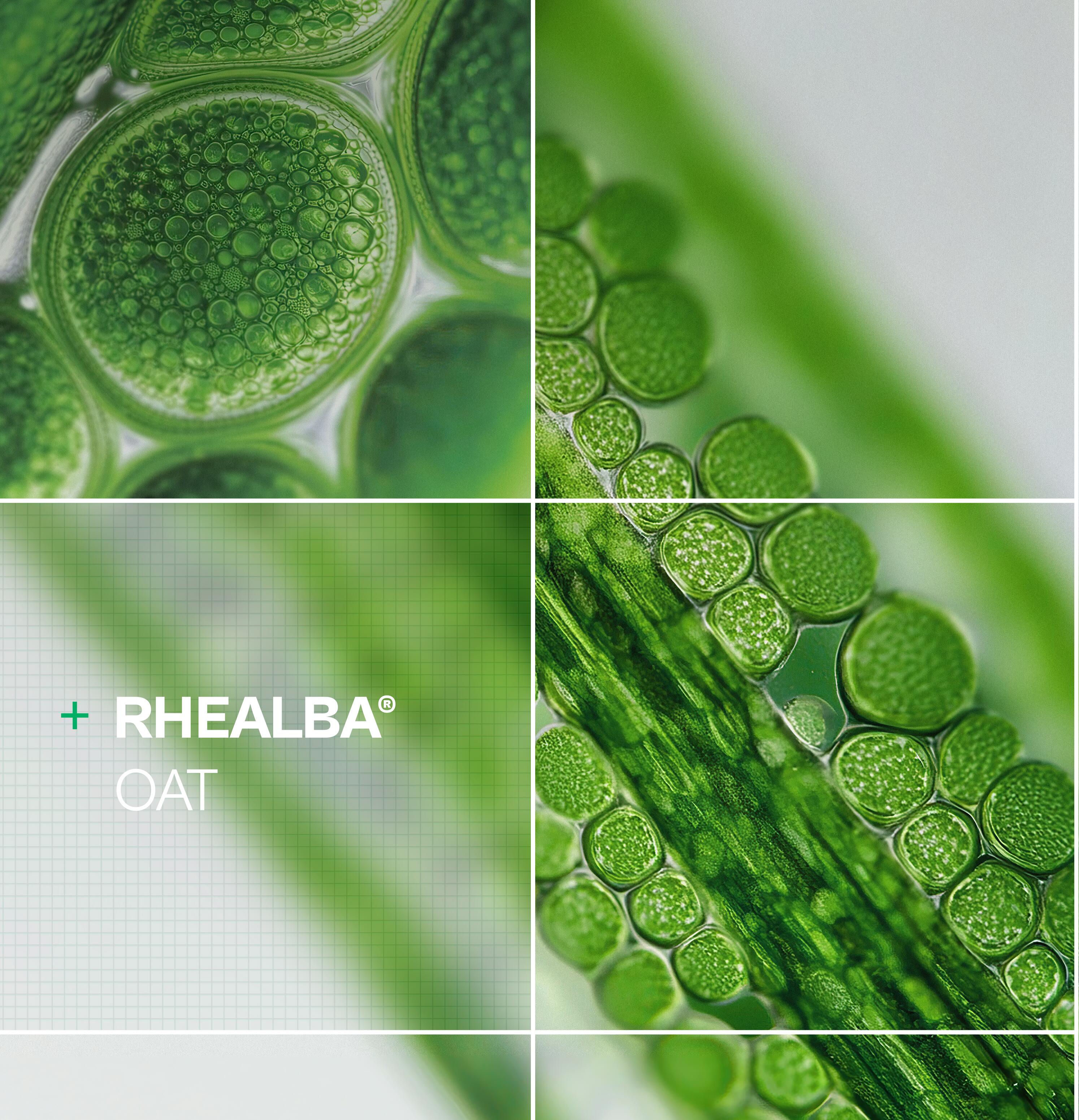 A-DERMA : Dermatological expertise dedicated to fragile skin